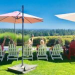 Amy & Reba's Day Drinking Wine Tours, Where we'll Drive you to Drink - What Makes This Tour Stand Out?