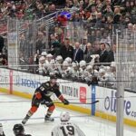 Anaheim Ducks NHL Game Ticket at Honda Center - The Fan Experience: What You Can Expect