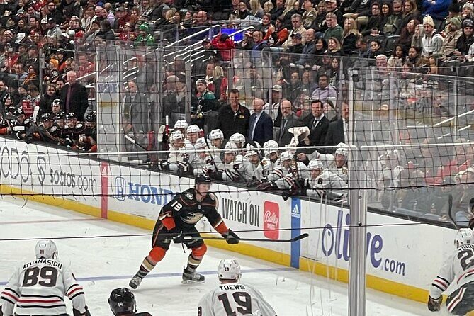 Anaheim Ducks NHL Game Ticket at Honda Center - The Fan Experience: What You Can Expect