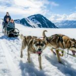 Anchorage Area: Helicopter and Glacier Dogsled Tour - A Realistic Look at the Logistics