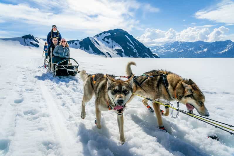 Anchorage Area: Helicopter and Glacier Dogsled Tour - A Realistic Look at the Logistics