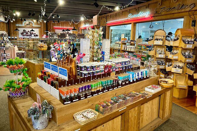 Anchorage City Tour, w/Choc Factory Samplings - What Does the Tour Mean for You?