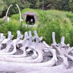 Anchorage Highlights and Indigenous Heritage - Experience overview: a detailed look at what to expect