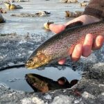 Anchorage Ice Fishing Adventure - Key Points