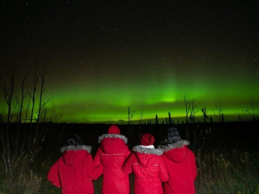 Anchorage: Nighttime Northern Lights Tour - Analyzing the Value
