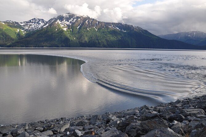Anchorage to Seward Wildlife Adventure - An In-Depth Look at the Tour Experience