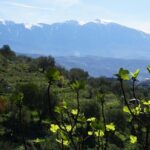 Ancients and Ottomans - Apollonia and Berat - The Practicalities: What’s Included and What’s Not