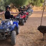 Andratx sightseeing quad tour - The Itinerary in Detail