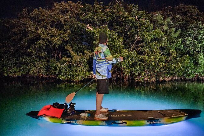 Anna Maria Island - Clear Kayak LED Night Glass Bottom Tour - Pricing and Value: Is It Worth It?