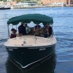 Annapolis: Electric Boat Rental - Duffy Sun Cruiser - 10ppl - Meeting Point and Accessibility