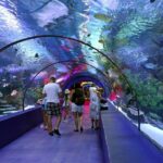 Antalya: Aquarium, Wax Museum, Snow World, Wild Park, XD Cinema - What Does the Tour Really Offer?