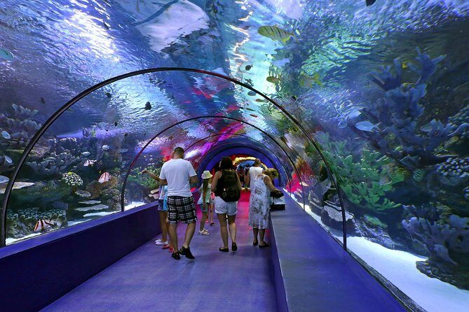 Antalya: Aquarium, Wax Museum, Snow World, Wild Park, XD Cinema - What Does the Tour Really Offer?