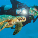 Antalya/ Belek Scuba Diving Tour With 2 Time Dive & Lunch - Why This Tour Offers Value