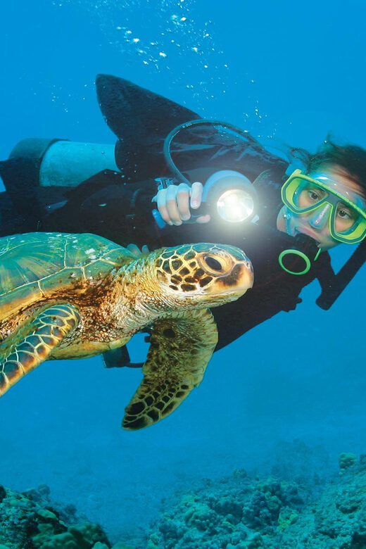 Antalya/ Belek Scuba Diving Tour With 2 Time Dive & Lunch - Why This Tour Offers Value