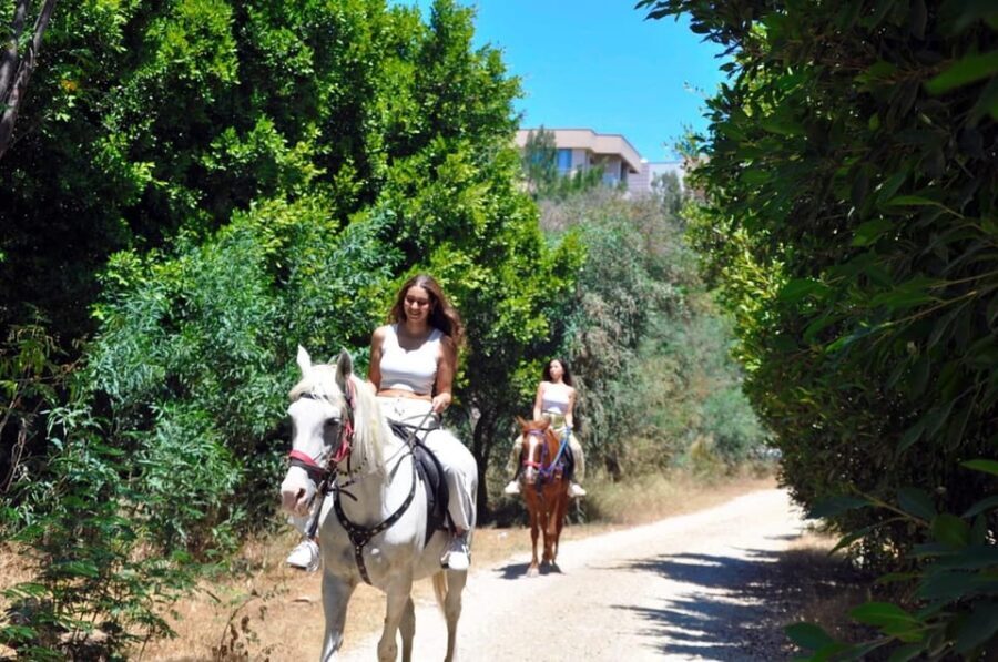 Antalya: Horseback Riding on the Beach and in the Forest - The Experiences Strengths