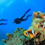 Antalya Scuba Diving With Transfer From Belek,Lara,Kemer Hotels - What the Reviews Say: Authentic Insights