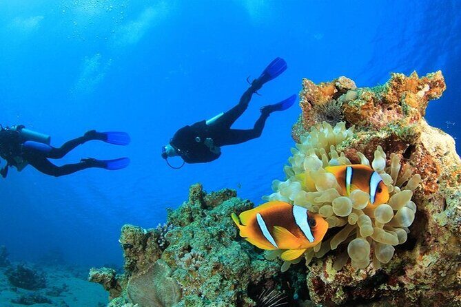 Antalya Scuba Diving With Transfer From Belek,Lara,Kemer Hotels - What the Reviews Say: Authentic Insights