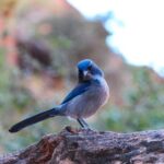 Apache Trail Private Half-Day Tour - The Experience: Comfort, Convenience, and Personal Touches
