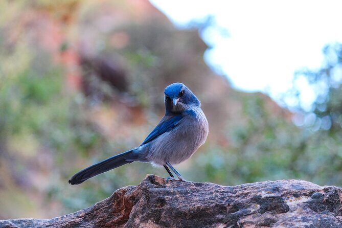 Apache Trail Private Half-Day Tour - The Experience: Comfort, Convenience, and Personal Touches