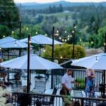 Apple Hill/Carson Road Digital Wine Tasting Passport - An In-Depth Look at the Digital Wine Tasting Pass