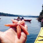 Aqua Safari Kayak tour departing Southwest Harbor - The Experience and Its Value