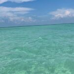 Aqua Sol Adventures-4.5 hour Private Snorkeling,Dolphin,shelling - Frequently Asked Questions