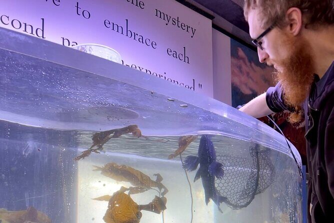 Aquarium Behind the Scenes at Sitka - A Close-Up Look at Sitka’s Aquarium Behind the Scenes