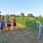 Archeology, visit to a vineyard and wine and pecorino cheese tasting - Key Points
