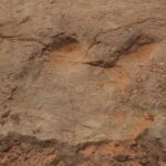 Arches National Park 4x4 Adventure from Moab - The Authentic Experience