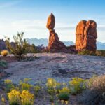 Arches National Park Morning Tour - What You Can Expect from the Tour