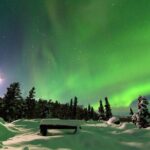 Arctic Circle and Northern Lights Tour from Fairbanks - What the Reviews Say