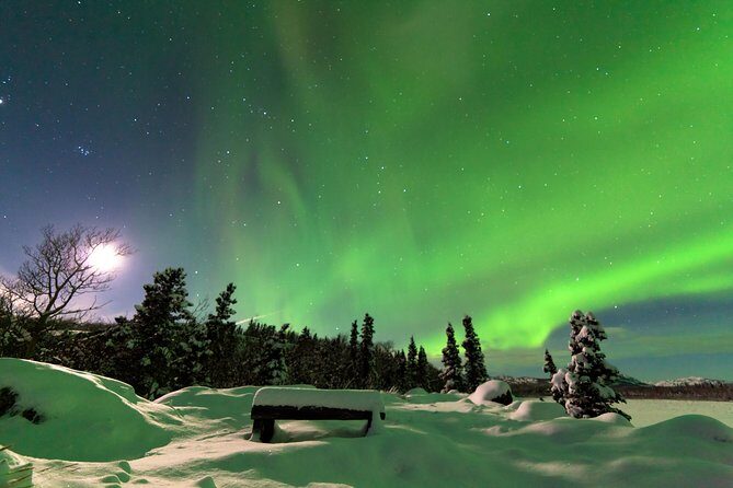 Arctic Circle and Northern Lights Tour from Fairbanks - What the Reviews Say