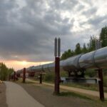 Arctic Circle Full-Day Adventure from Fairbanks - The Itinerary in Detail