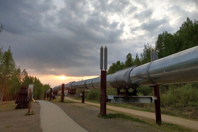 Arctic Circle Full-Day Adventure from Fairbanks - The Itinerary in Detail
