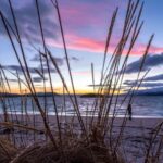 Arctic Nature Tour from Tromsø - Exploring Kvaløya: The Heart of the Tour