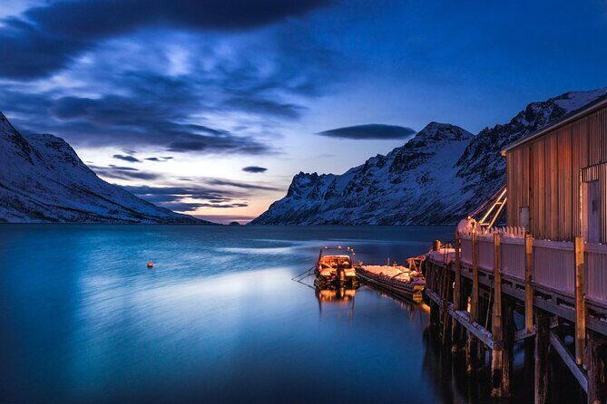 Arctic Wildlife and Fjord Sightseeing - FAQ