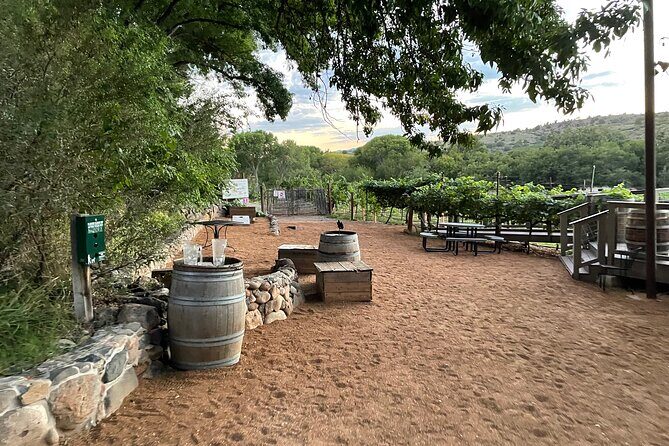 Arizona Winery All-Inclusive Tour with Lunch & Tastings - Practical Considerations and Tips