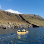 Árnafjørður: Guided Boat Tour with Fishing - Pricing and Overall Value
