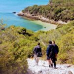 Arrábida Snorkeling Adventure with Transfer from Lisbon - An Authentic Half-Day Escape to Arrábida