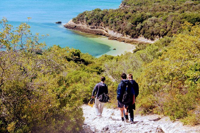 Arrábida Snorkeling Adventure with Transfer from Lisbon - An Authentic Half-Day Escape to Arrábida