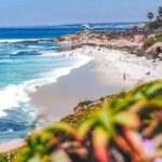 Arrival Private Transfer: San Diego Airport SAN to San Diego in Business Car - Additional Considerations