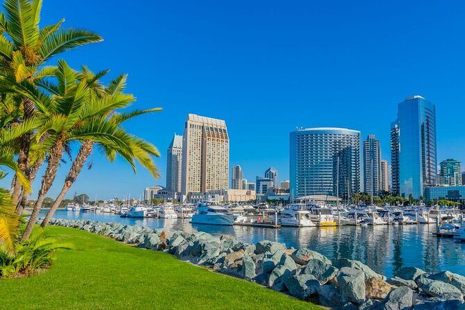 Arrival Private Transfer: San Diego Airport SAN to San Diego in Luxury SUV - What to Expect During Your Ride