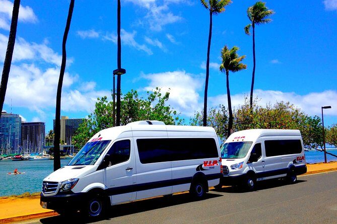 Arrival Transfer: Airport Shuttle Honolulu and Waikiki or Cruise Terminal - What’s Included and What’s Not