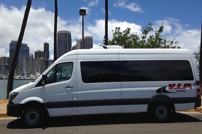 Arrival Transfer: Kona International Airport (KOA) to Hotels - Big Island - Who Is This Service Best For?