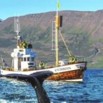 Árskógssandur: Whale-Watching Boat Trip - Pricing and Value