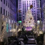 Artful Holiday Lights & Sights - Who Will Love This Tour?
