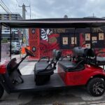 Artist Lead VIP Golf Cart Graffiti Tour - 2-5 ppl - Who Should Consider This Tour?