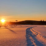 Arvidsjaur: 4h individual snowmobile tour in Swedish Lapland - Why This Tour Offers Value