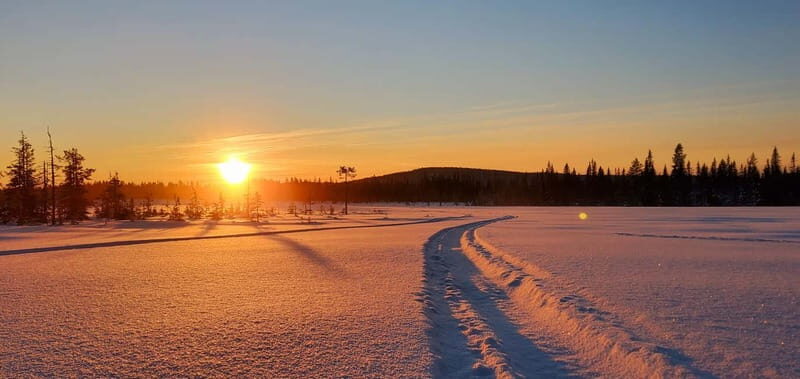 Arvidsjaur: 4h individual snowmobile tour in Swedish Lapland - Why This Tour Offers Value