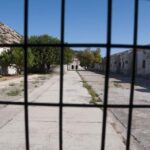 ASINARA ISLAND-TOUR full day Minivan in the National Park - The Practical Side: Pricing and Whats Included